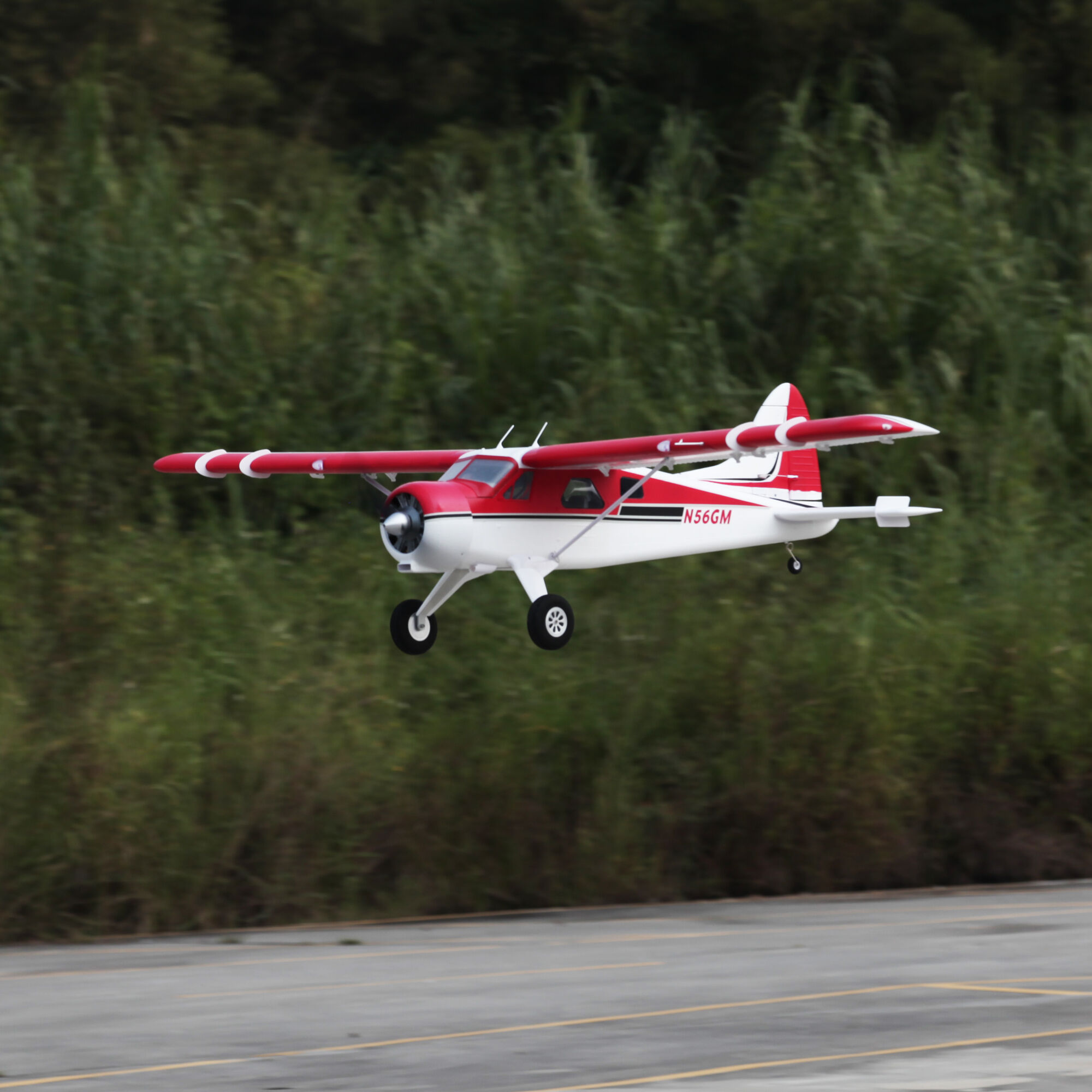 FMS Beaver 2000mm PNP V2 with Reflex - FMM090P1X