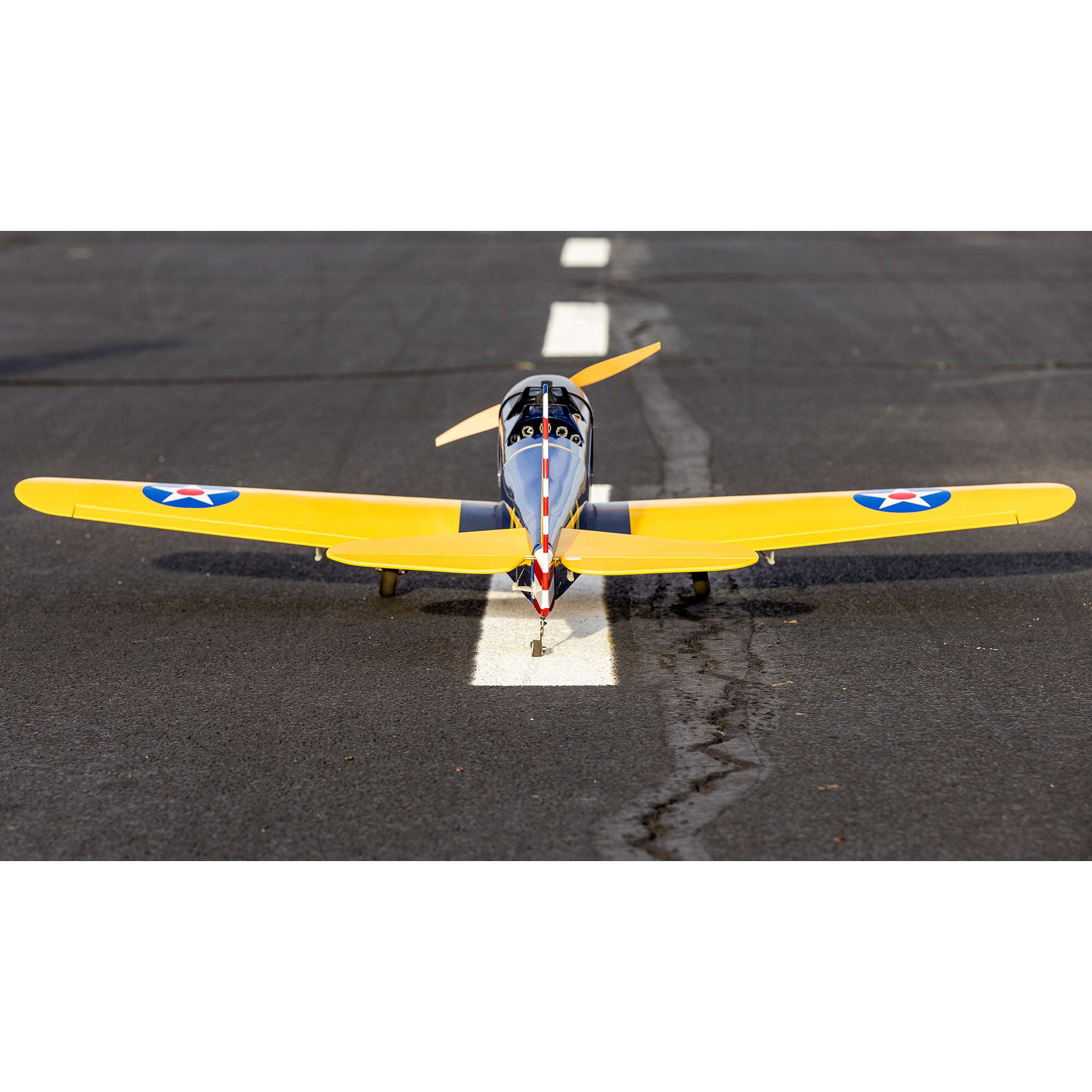 pt19 rc plane