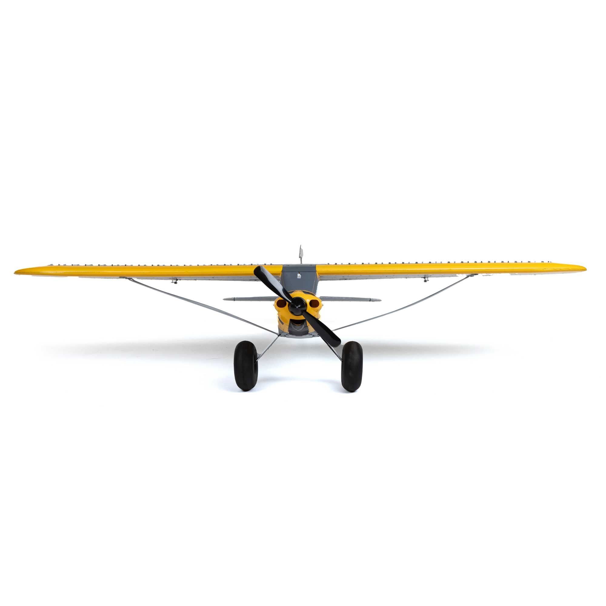 Carbon Cub S 2 1.3m Chandra Patey Limited Edition RTF - HBZ32000LE