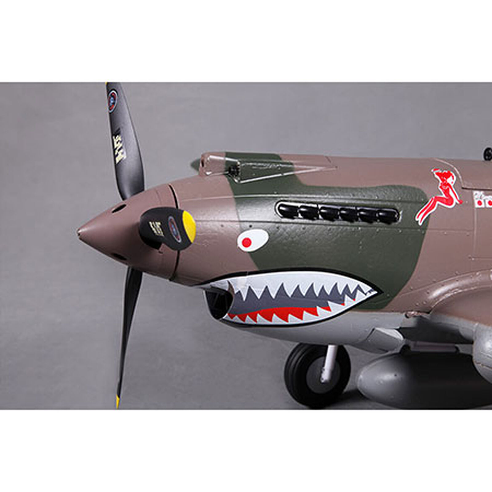 FMS P-40B Flying Tiger 980mm PNP with Reflex | Horizon Hobby