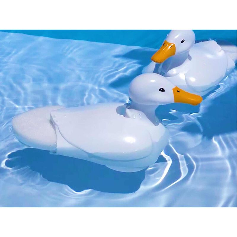 Walking & Swimming Duck