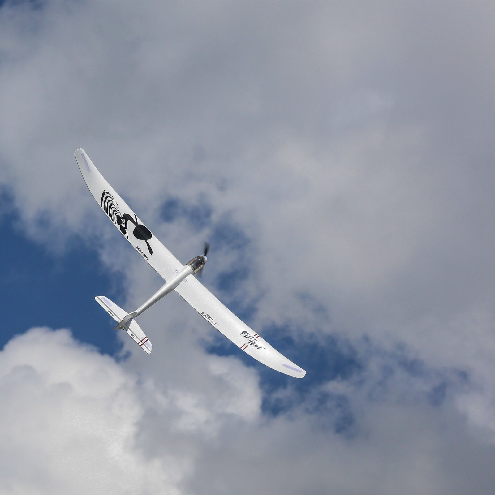 E-flite Night Radian FT 2.0m BNF Basic with AS3X and SAFE Select ...