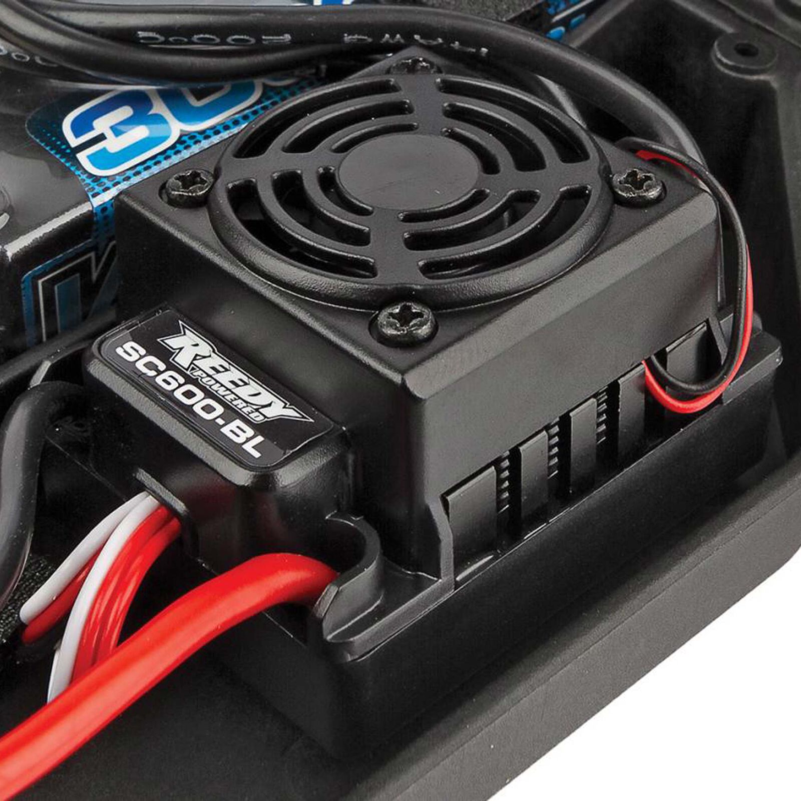 Team Associated 1/10 RB10 2WD Buggy RTR, Blue, LiPo Combo | Horizon Hobby