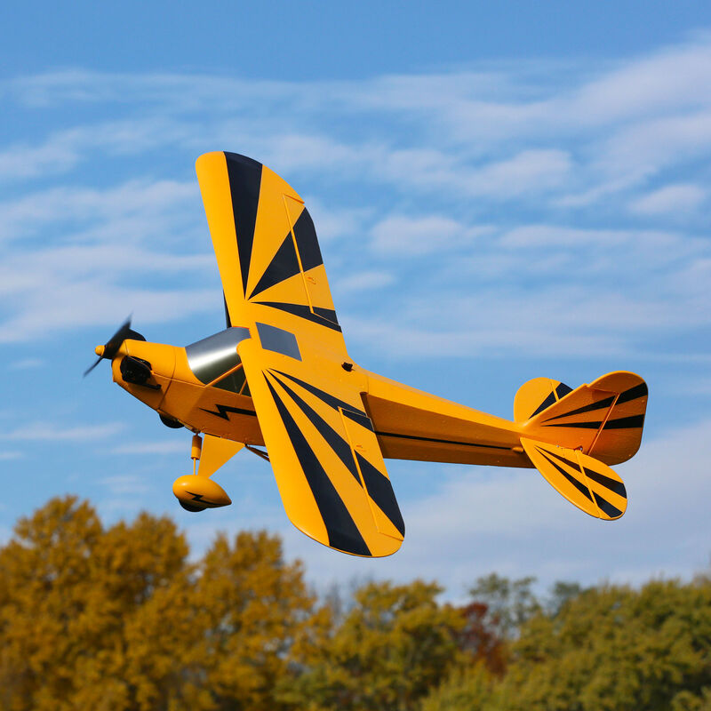 E-flite Clipped Wing Cub 1.2m BNF Basic with AS3X and SAFE Select | Horizon Hobby