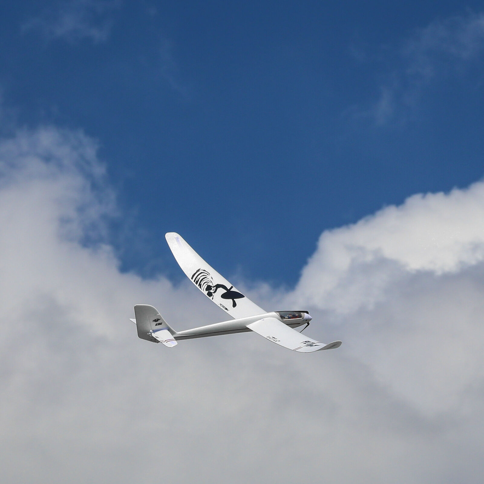E-flite Night Radian FT 2.0m BNF Basic with AS3X and SAFE Select ...