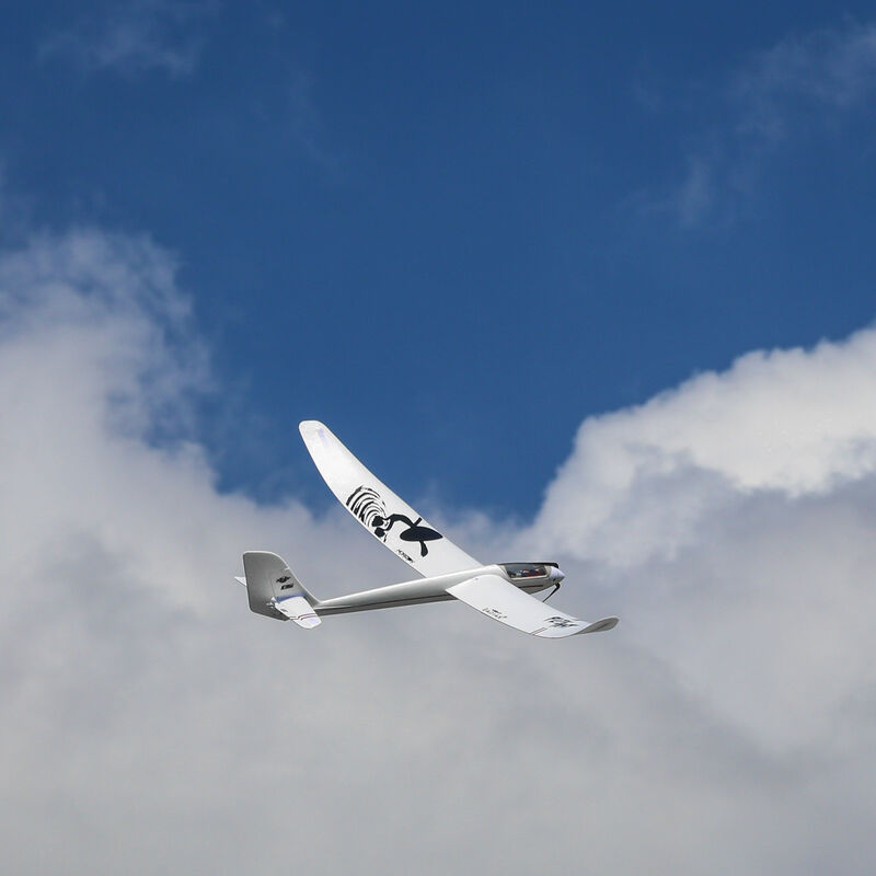 E-flite Night Radian FT 2.0m BNF Basic with AS3X and SAFE Select ...
