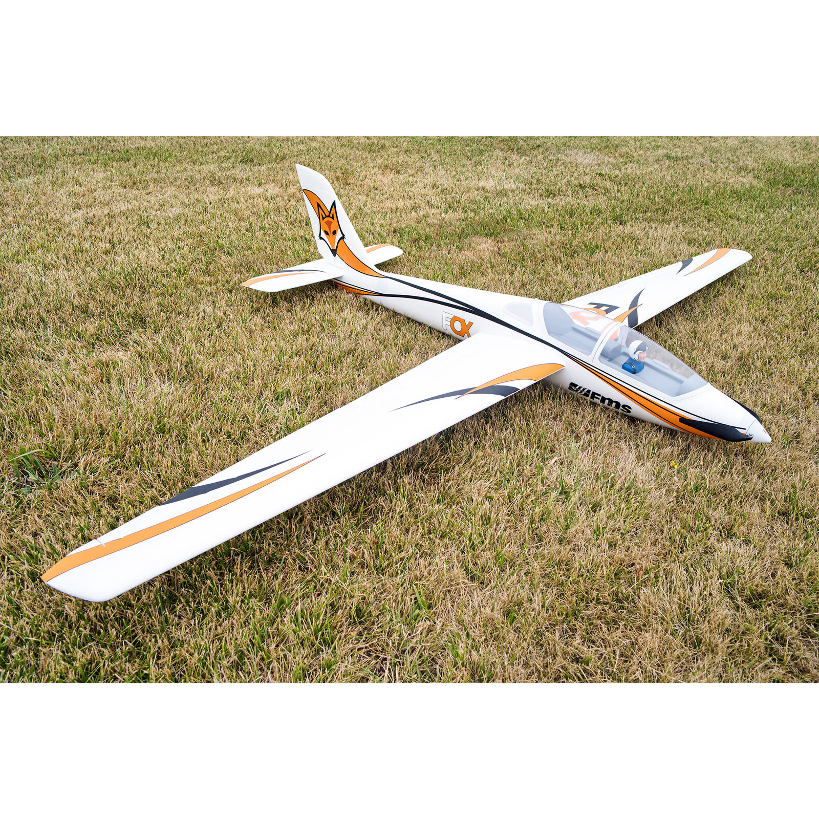 FMS Fox 3000mm Aerobatic EP Glider PNP | Horizon Hobby