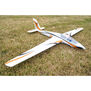 FMS Fox 3000mm Aerobatic EP Glider PNP | Horizon Hobby