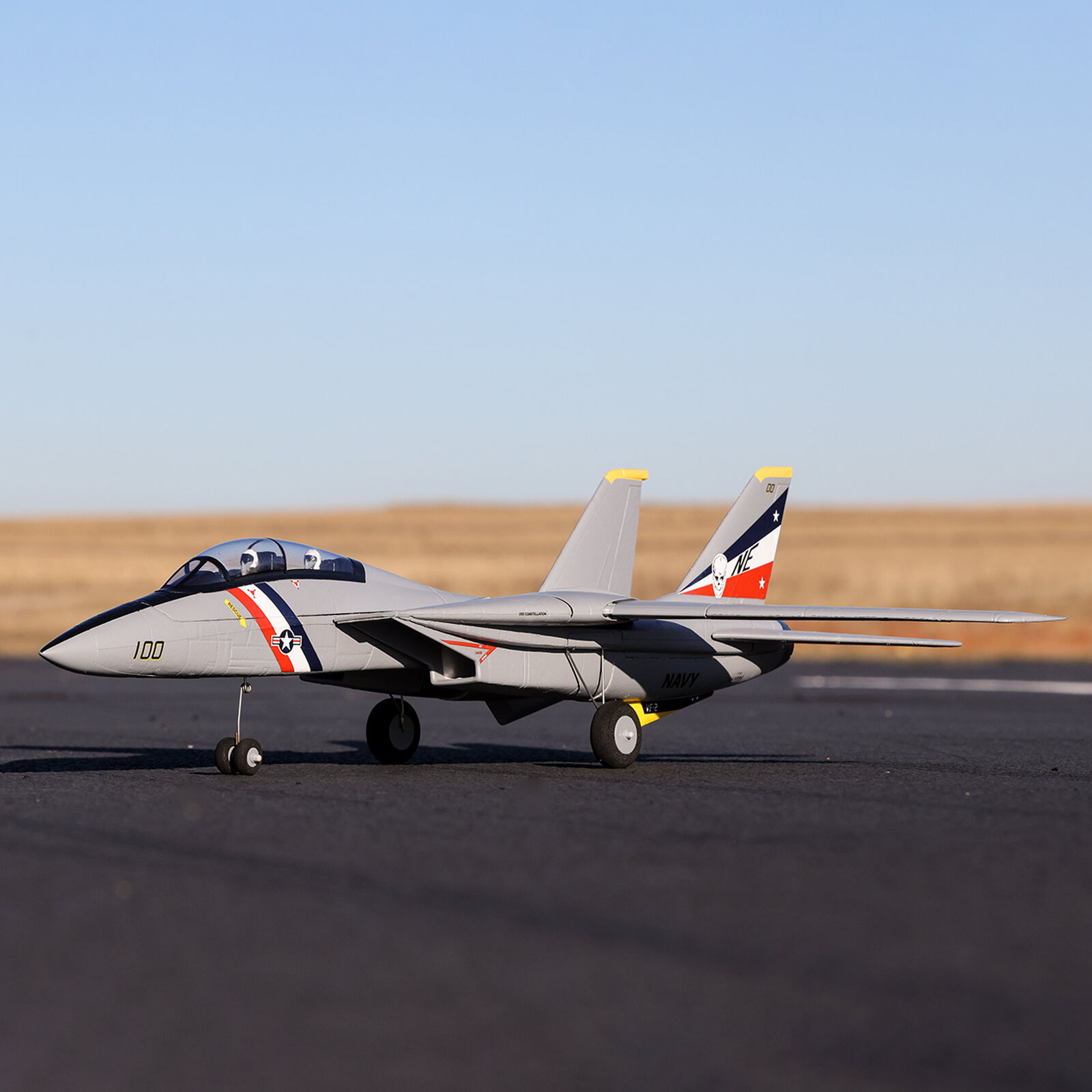 E-flite F-14 Tomcat Twin 40mm EDF BNF Basic | Horizon Hobby