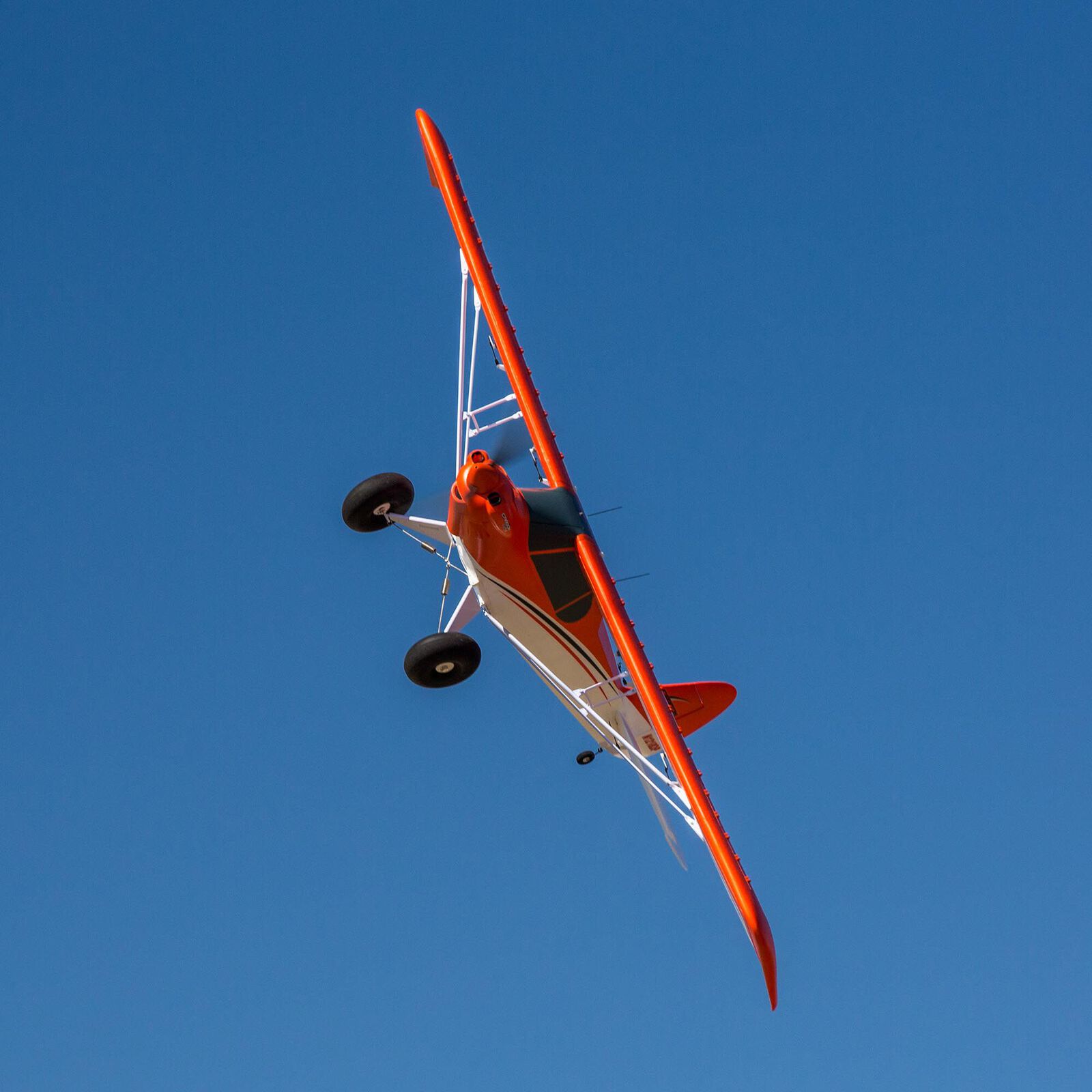 E-flite Carbon-Z Cub SS 2.1m BNF Basic with AS3X and SAFE Select ...