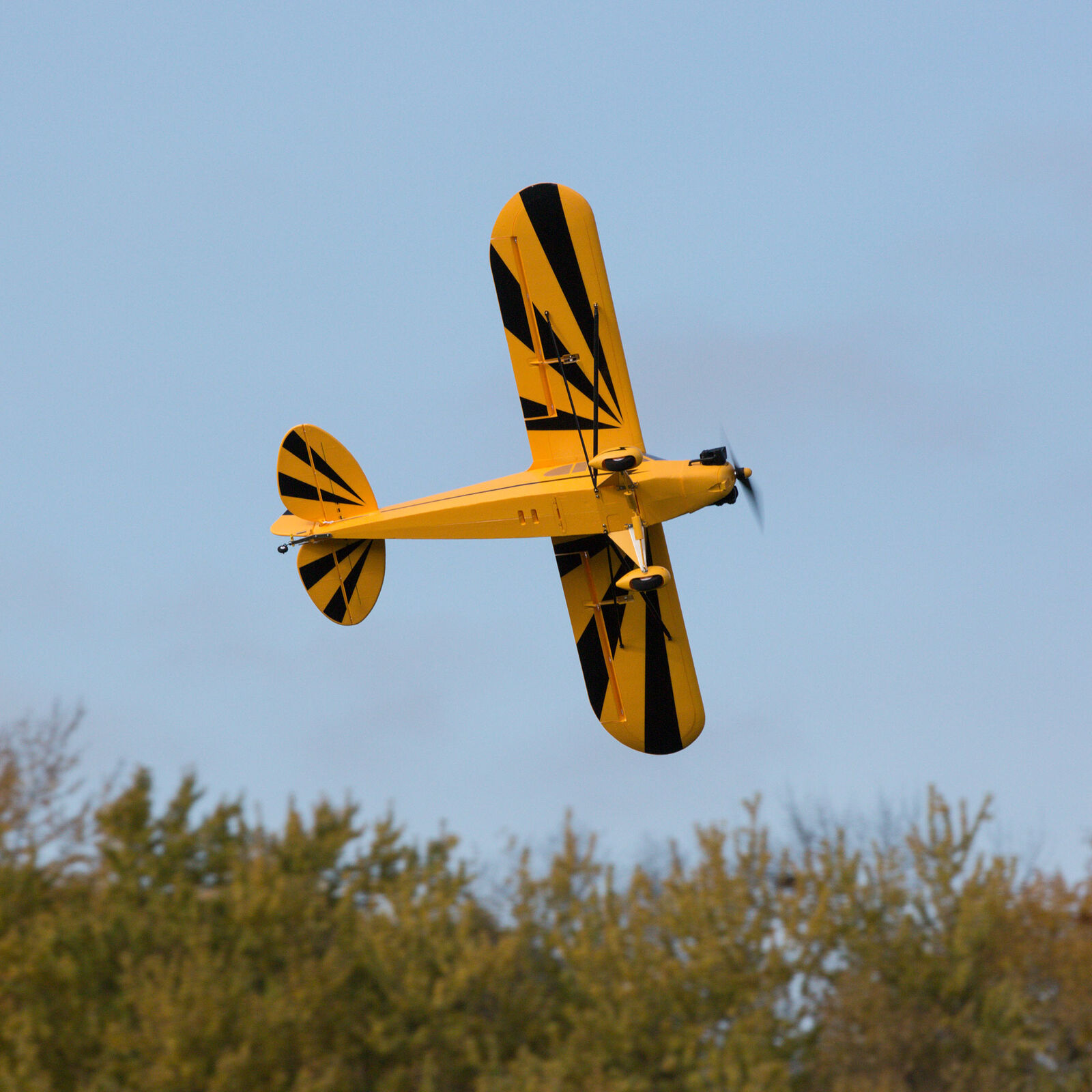 E-flite Clipped Wing Cub 1.2m BNF Basic with AS3X and SAFE Select ...