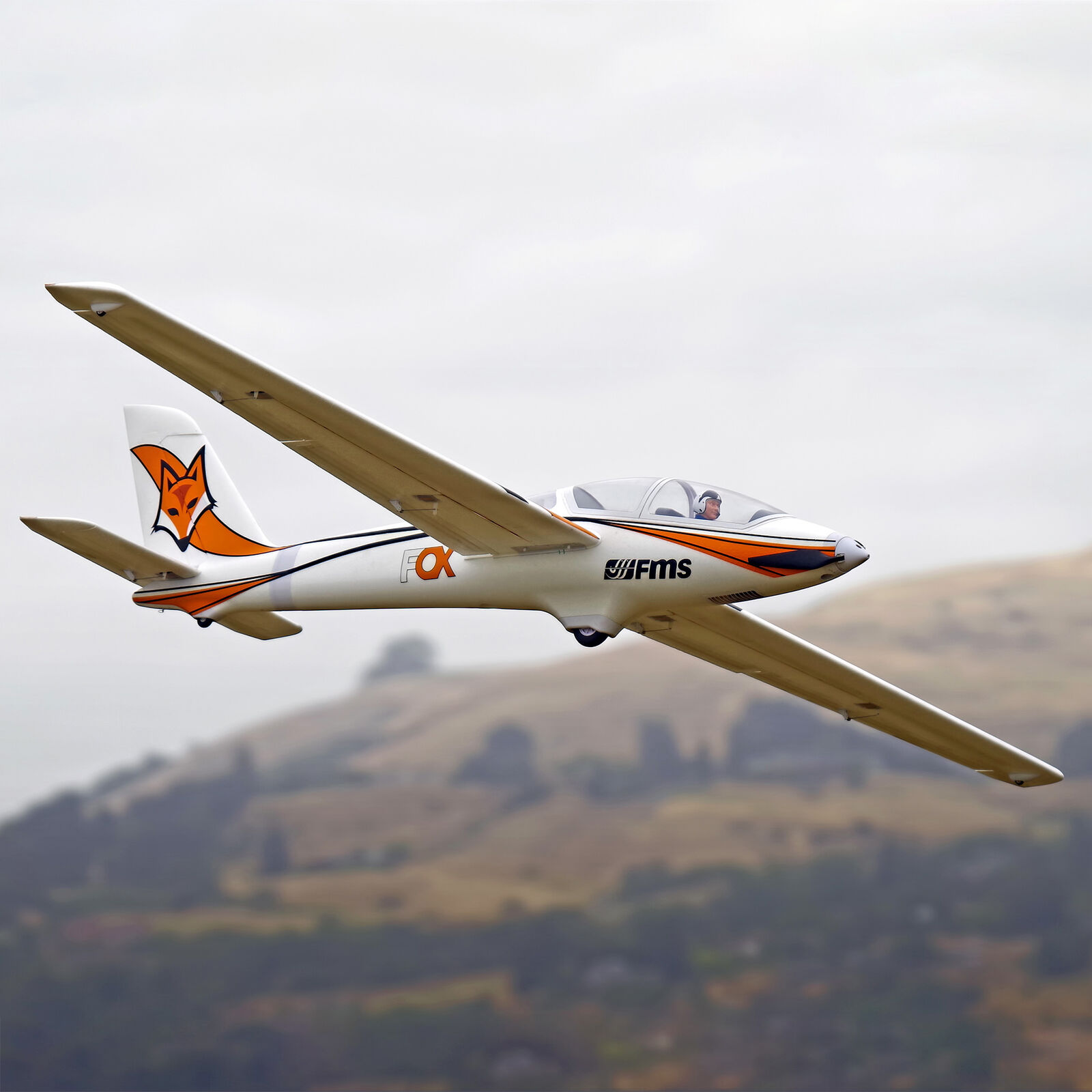 FMS Fox 3000mm Aerobatic EP Glider PNP | Horizon Hobby