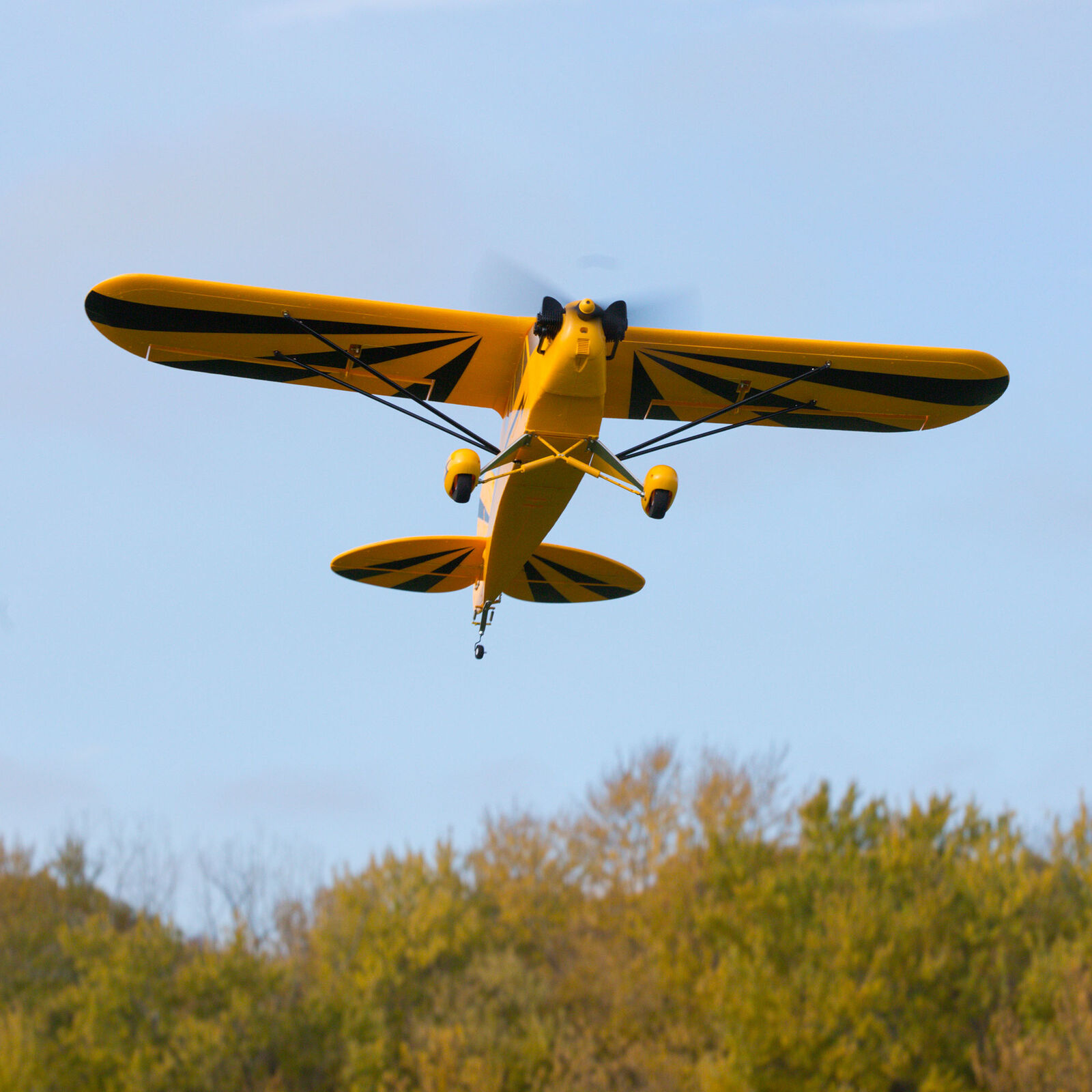 E-flite Clipped Wing Cub 1.2m BNF Basic with AS3X and SAFE Select ...