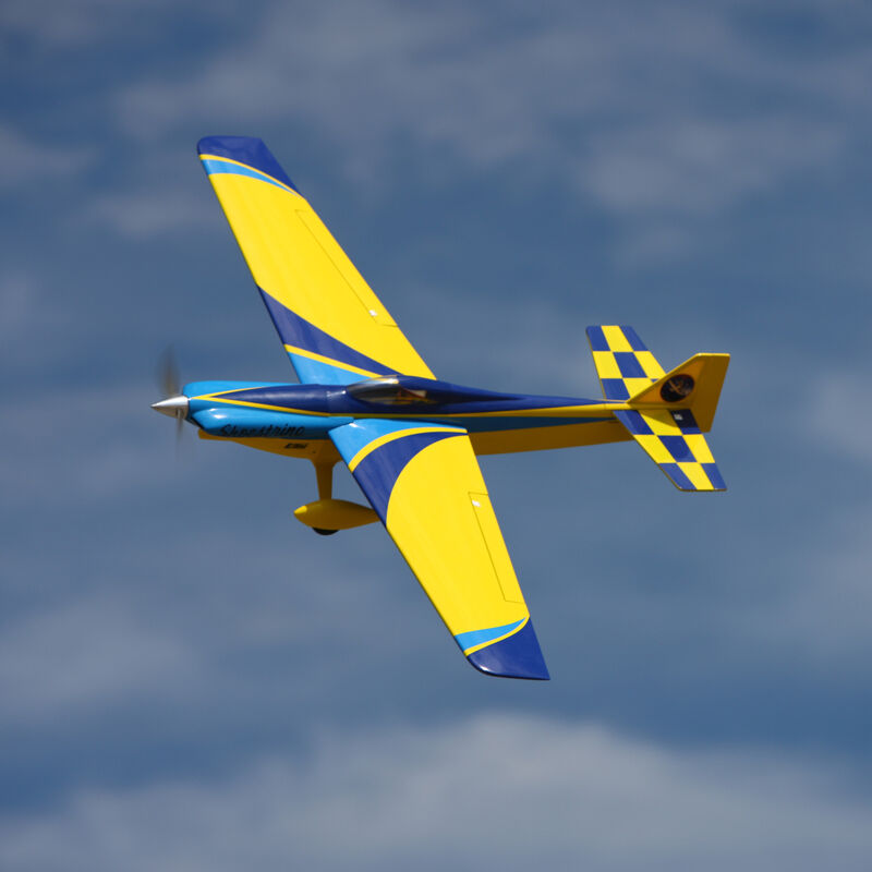 E-flite Shoestring 15e ARF, 50.5" | Horizon Hobby