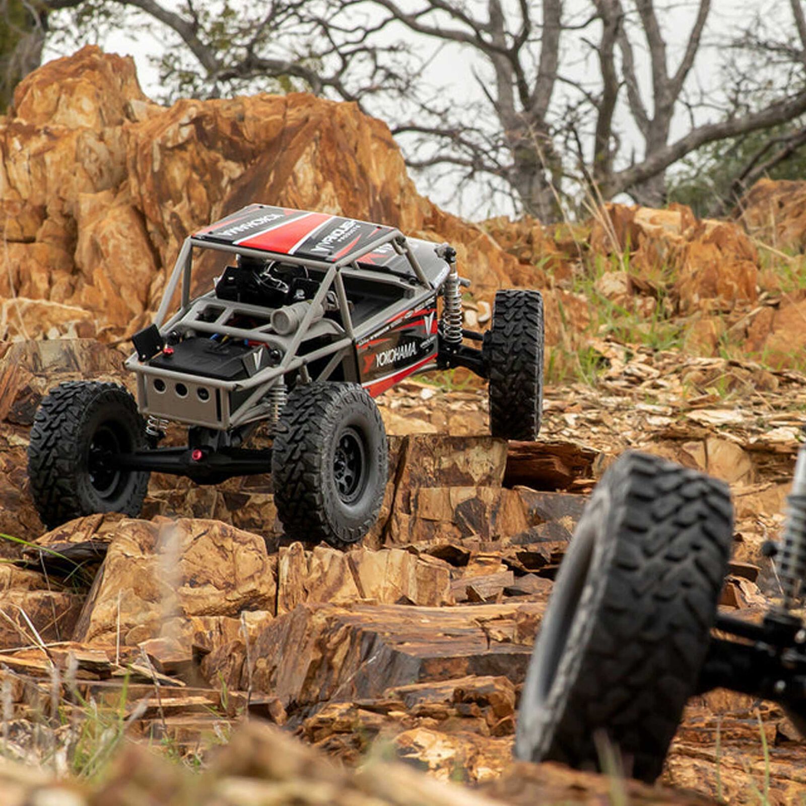 Vanquish Products 1/10 H10 Optic 4x4 Trail Buggy RTR, Yokohama ...
