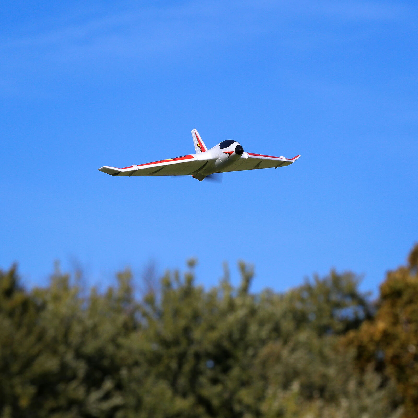 E-flite Delta Ray One RTF with SAFE Technology, 500mm | Horizon Hobby