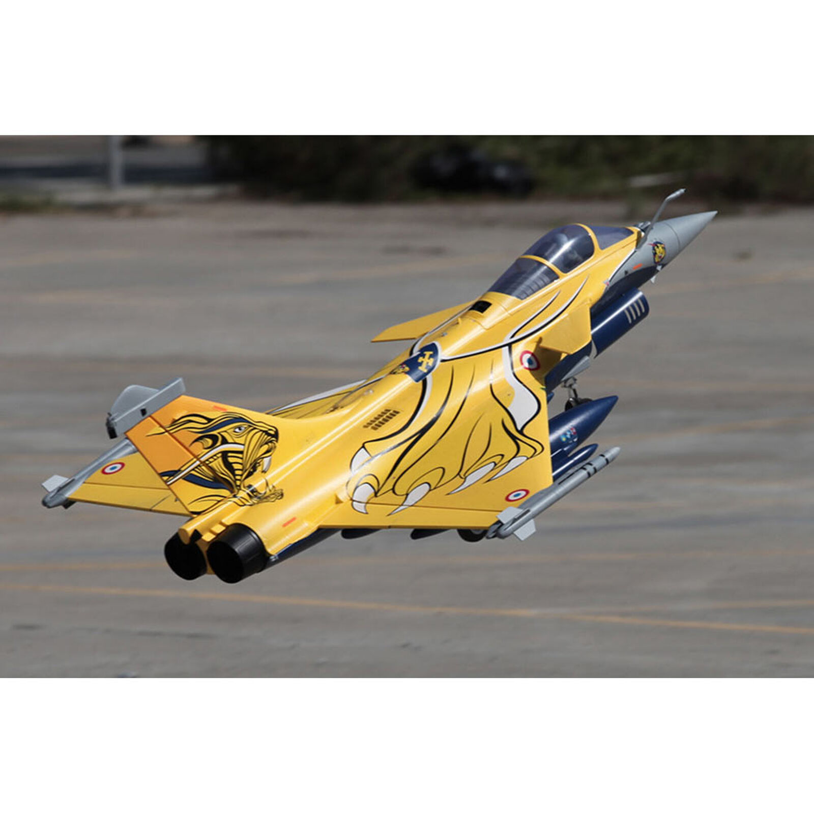 FMS Rafale 80mm EDF PNP with Reflex | Horizon Hobby