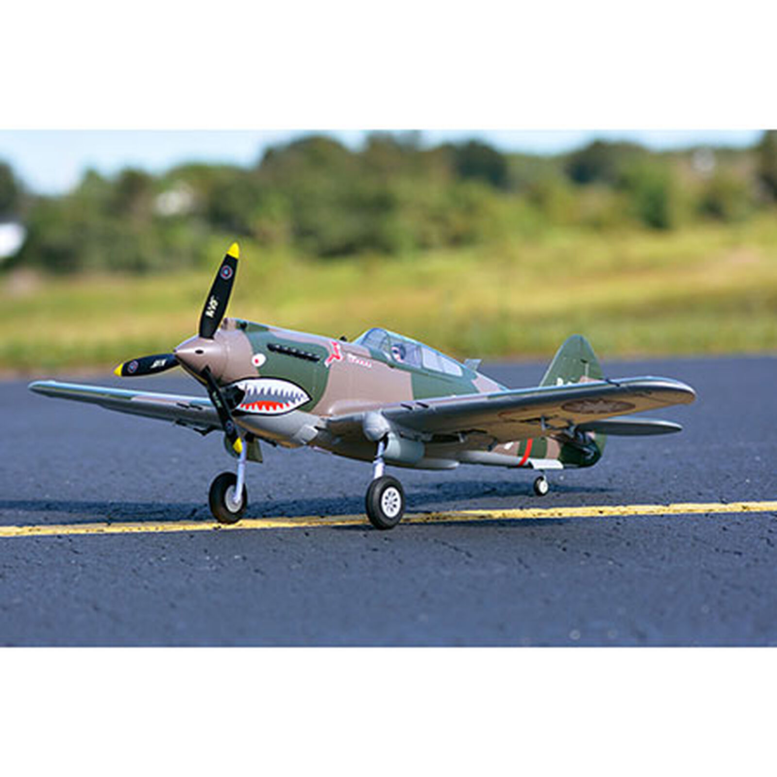 FMS P-40B Flying Tiger 980mm PNP with Reflex | Horizon Hobby