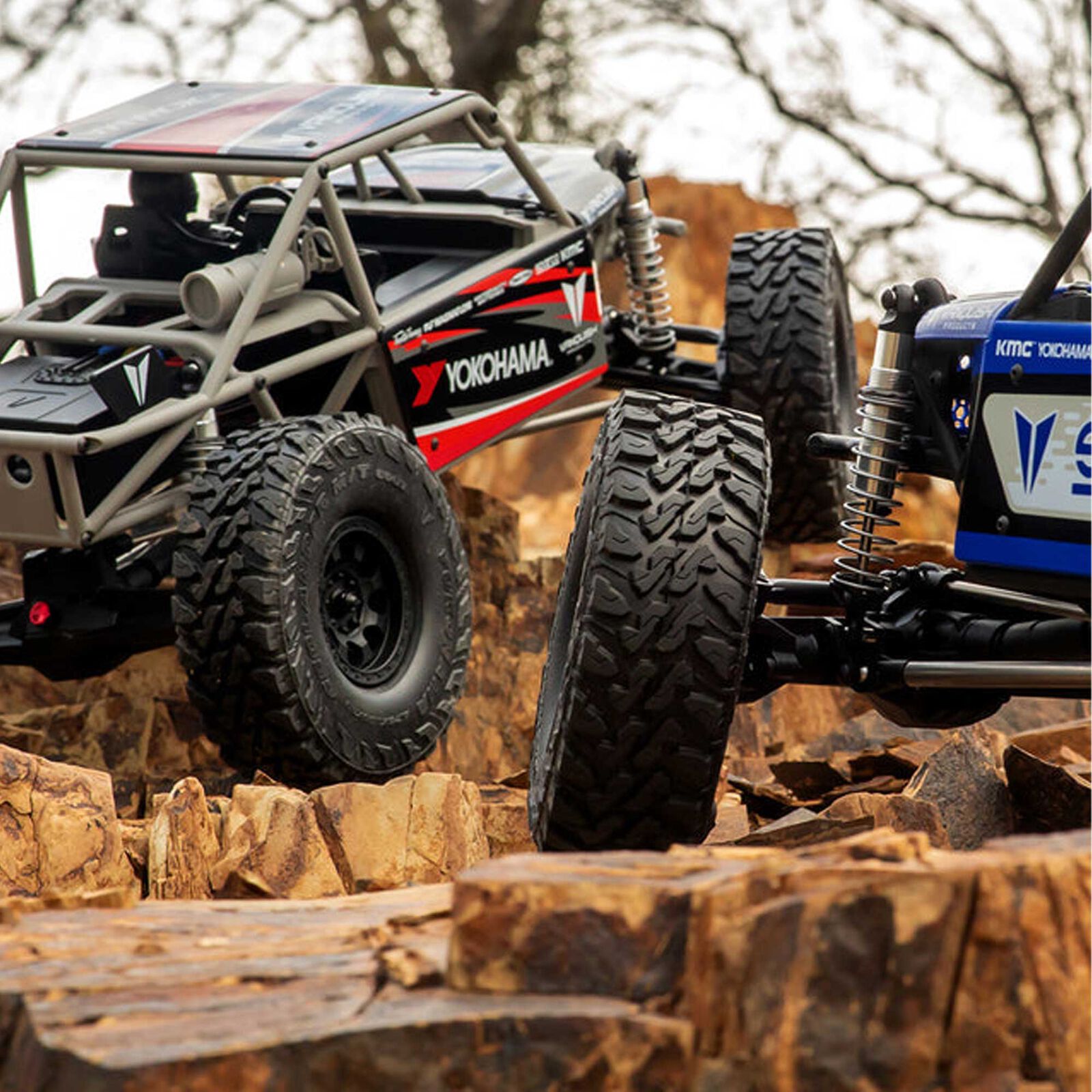 Vanquish Products 1/10 H10 Optic 4x4 Trail Buggy RTR, Yokohama ...