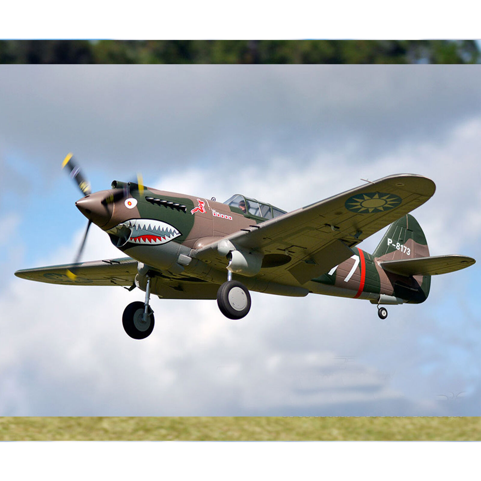 FMS P-40B 1400mm PNP with Reflex | Horizon Hobby