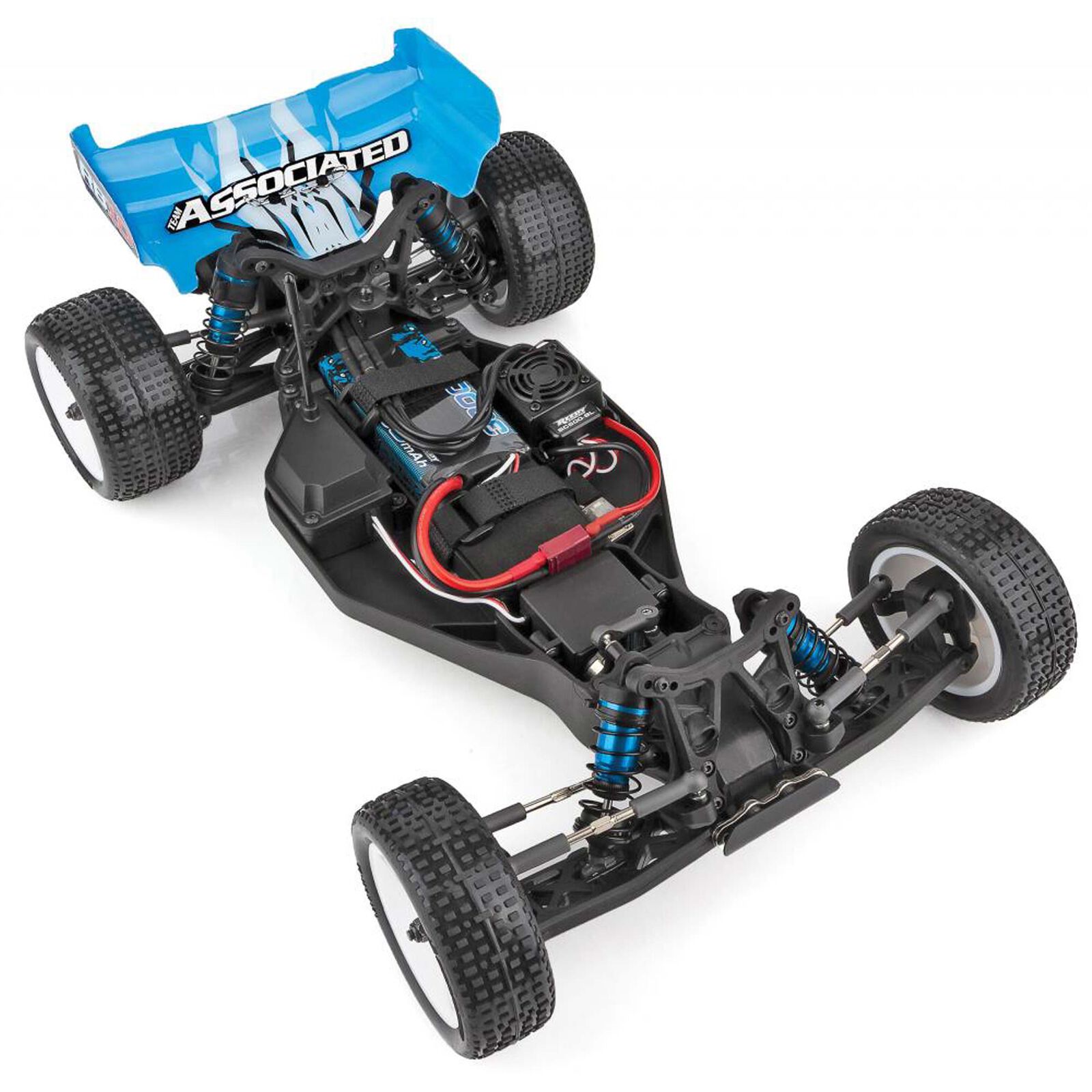 Team Associated 1/10 RB10 2WD Buggy RTR, Blue | Horizon Hobby