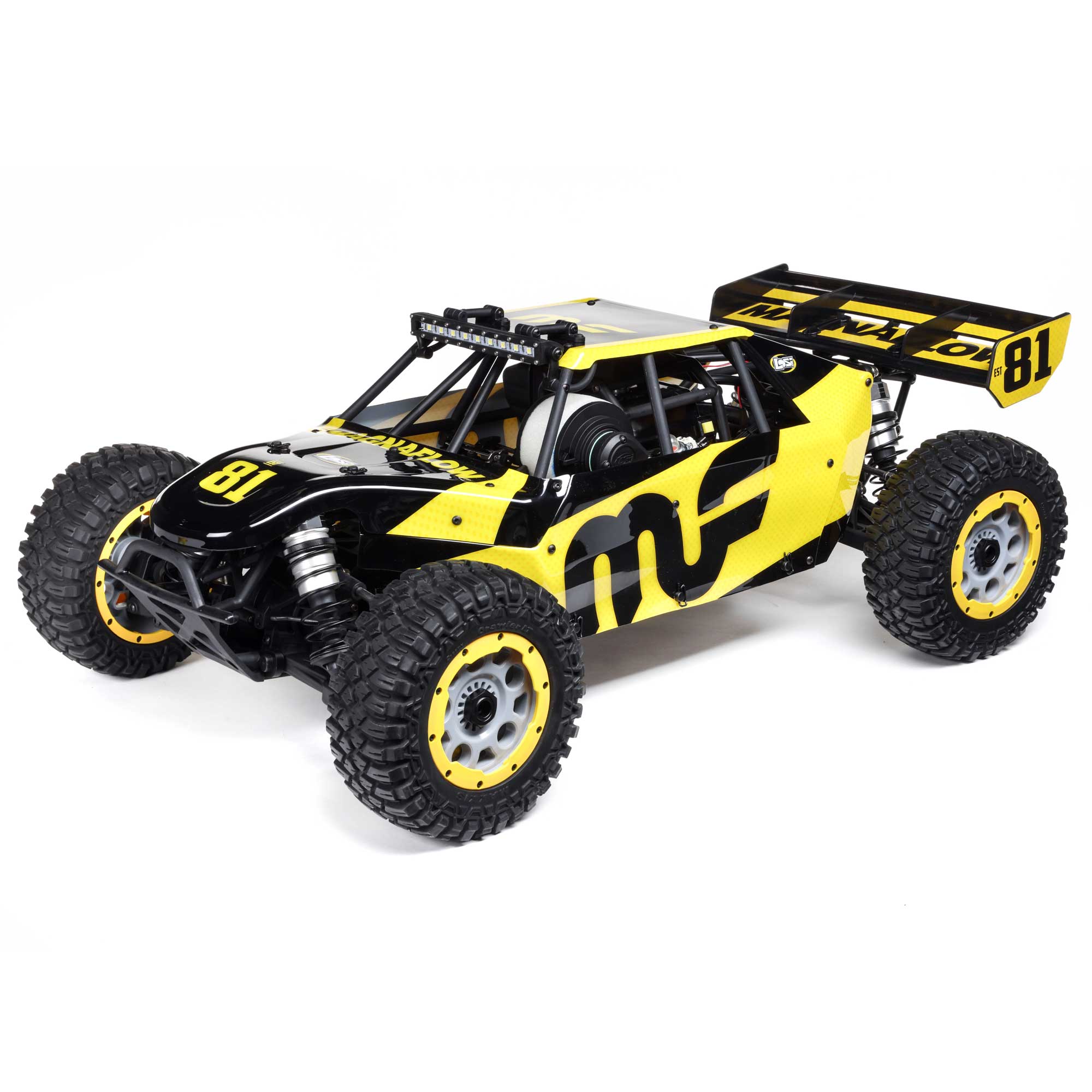 Large RC Cars & Trucks | Horizon Hobby